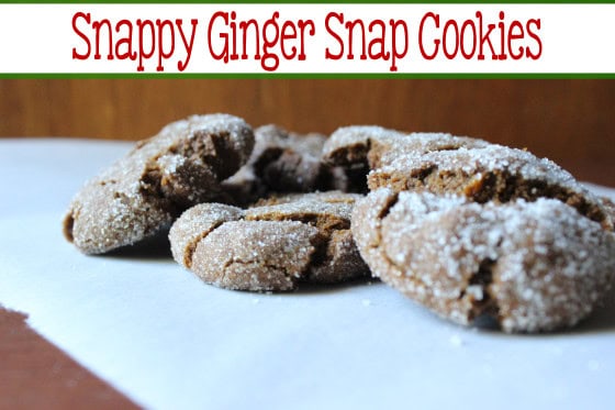 Snappy Ginger Snap Cookies - Everyday Made Fresh