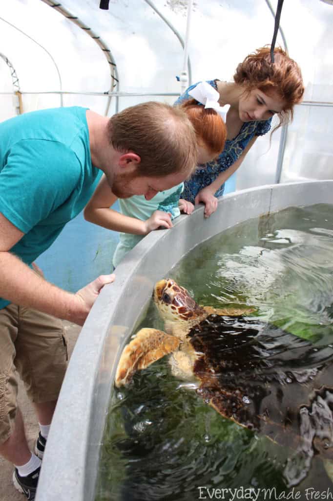 Gulf Specimen Marine Lab in Panacea Florida - Everyday Made Fresh