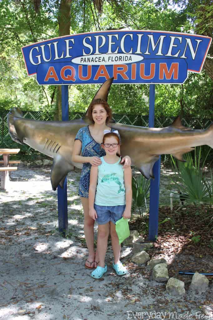 Gulf Specimen Marine Lab in Panacea Florida - Everyday Made Fresh