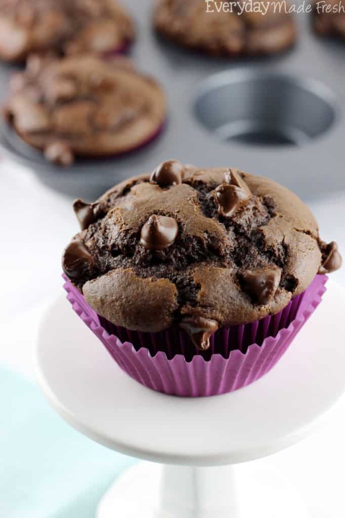 Double Dark Chocolate Muffins - Everyday Made Fresh