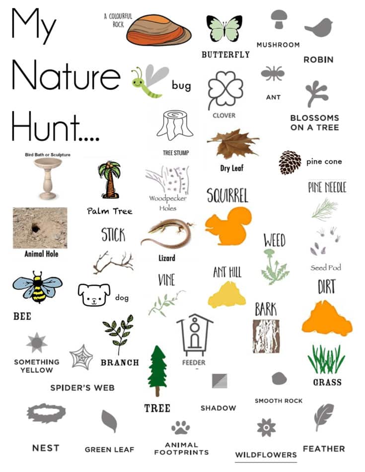 My Nature Hunt Printable - Everyday Made Fresh